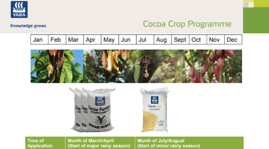 Cocoa Fertilizer Program | Yara Ghana